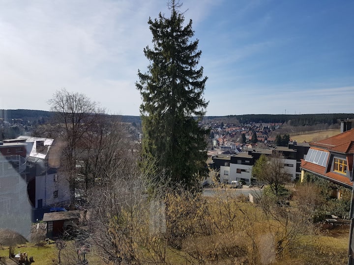 Grossbrauni - Kleines Apartm. Mit Traumblick - Schierke