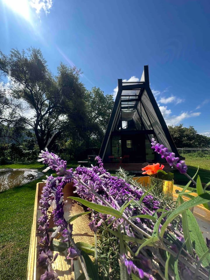 Glamping | Malinalco| Asador, Fogata & Estrellas - Malinalco