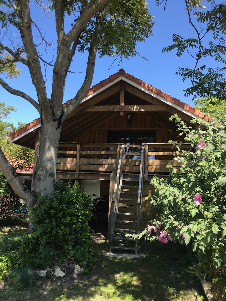 Nid Perché Avec Terrasse Esprit Cabane - 4 Pers - Lacanau