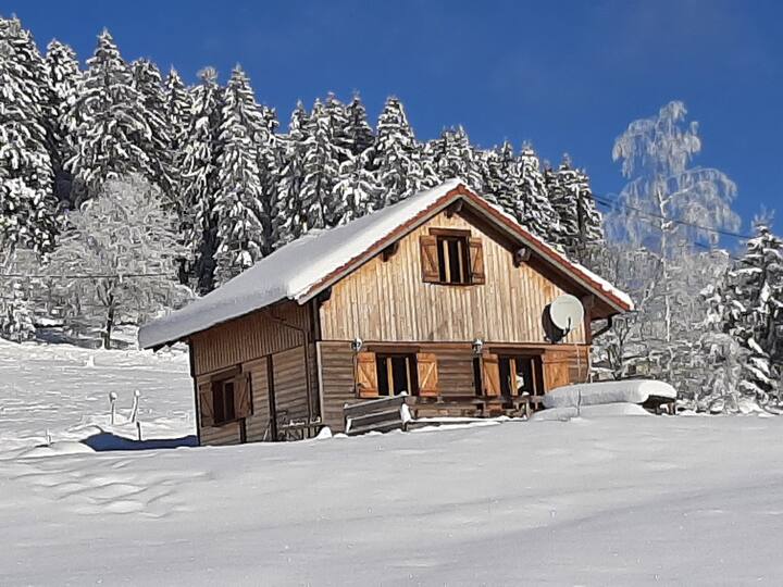 Gérardmer : Chalet Cosy à 3km Du Lac Et Des Pistes - Gérardmer
