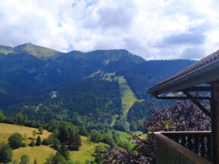 Charmant Studio - Bernex