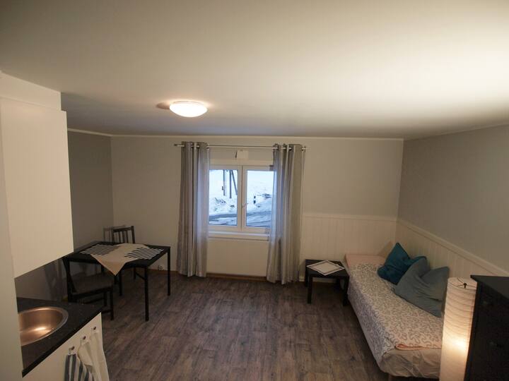 Nice Studio With 2 Beds And A View To The Garden. - Oslo Airport (OSL)