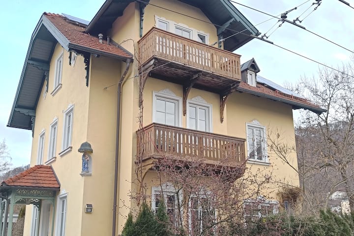 Apartment Eg Ruhig Grün 12 Min Ins Zentrum - Salzburg