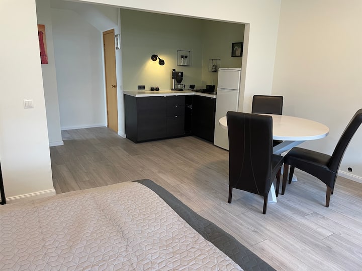 Private 45 Sqm Studio Apartment - Reykjavík