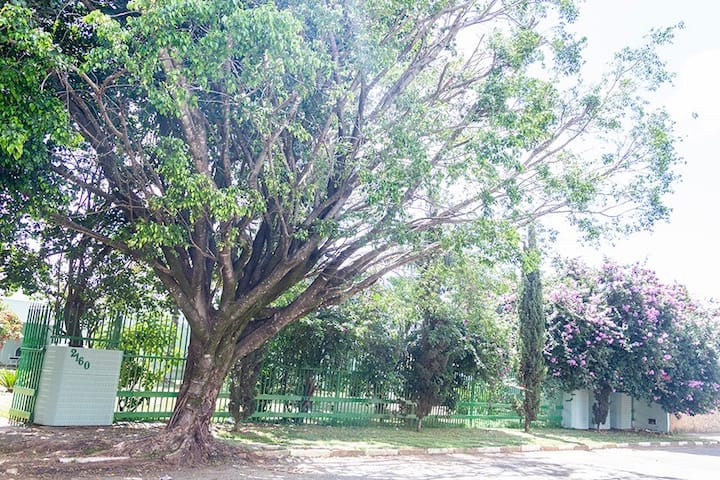 Mansão Arborizada Pertinho Da Serra Da Canastra !! - Passos