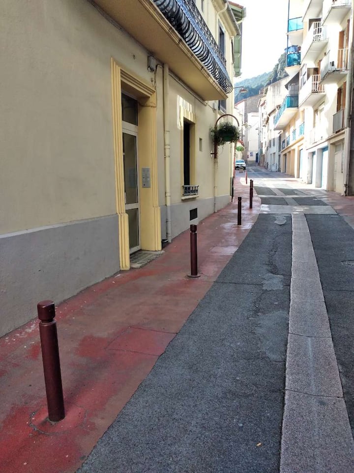 Joli F1 Meublé Tout Confort Vue Rivière - Amélie-les-Bains-Palalda