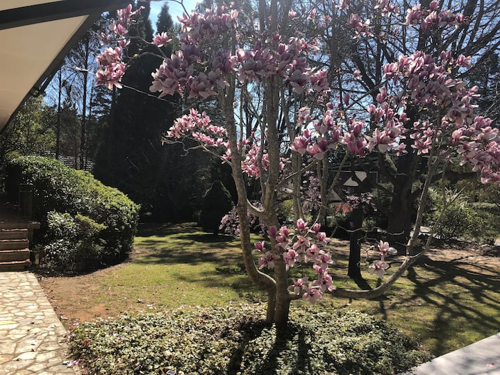 Zelma's Cottage - Leura Escape - Wentworth Falls