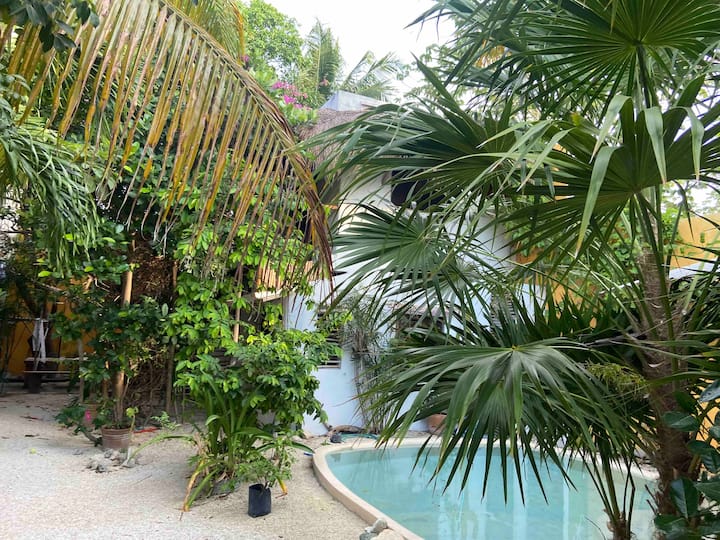 Iguana Studio. Vegan, Nature, Bikes & Beach - Playa del Carmen