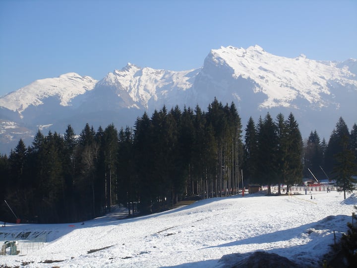 Studio Morillon 1100m Pied Piste+ Garage Indiv. - Morillon