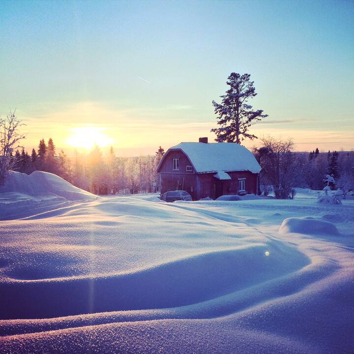 Balsam För Själen I Lappländska Inlandet - Dorotea