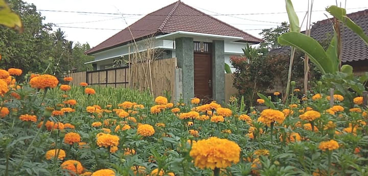 Tabuana Uma - 1br,private Pool ,Rice Field View - Bali