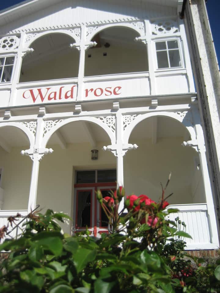 Fewo Wittow Pension Waldrose - Sellin