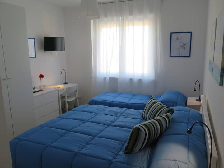Anconabed Marco Polo - Ancona