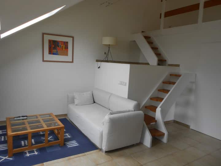 Charming Duplex With Direct Bus Connection To Lux - Mersch