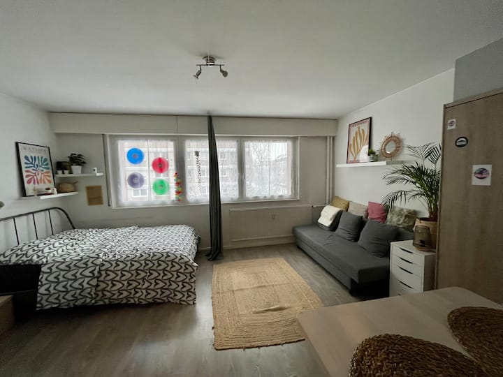 4 Personnes, Parking Gratuit, Proche Centre Ville - Strassburg