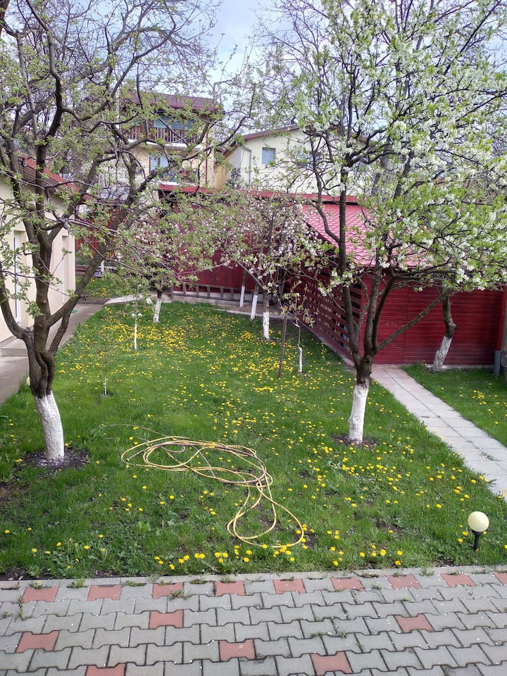 Casa De Oaspeti, Cluj-napoca - Cluj-Napoca