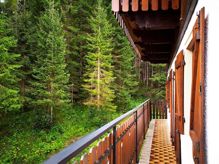Pampanìn: A Cozy Apartment In Padola - Dolomites - Sesto
