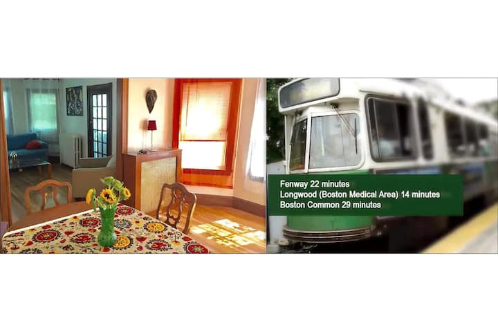 Thouarthome, Bc, Danafarber, Parking, Petfriendly. - Hyde Park - Boston