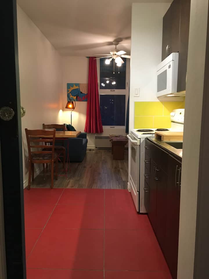 Confort, Couleur Et Proximité. Petite-patrie! - Montreal