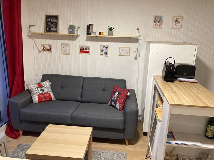 Studio 4 Couchages Plein Centre Les Rousses - Les Rousses