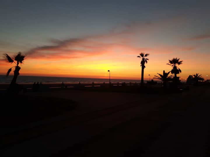 Naturaleza  Virgen - Matalascañas