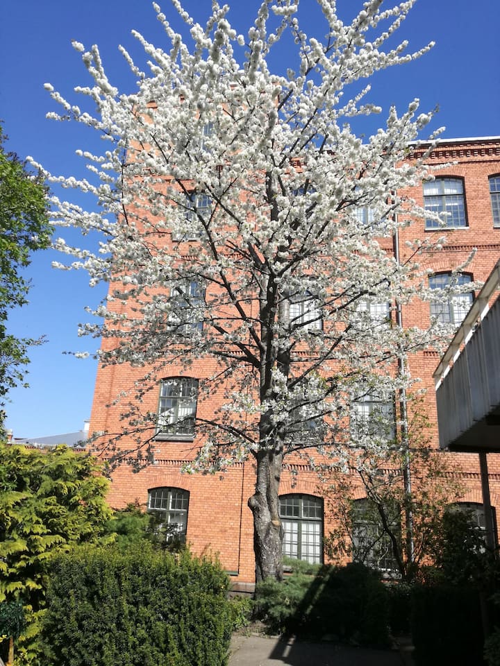 Lugnt Och Centralt Nära Campus. - Åby