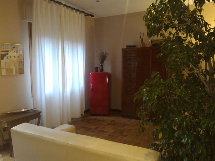 Maison Du Jardin- Stanza Singola Con Bagno Privato - Montegrotto Terme