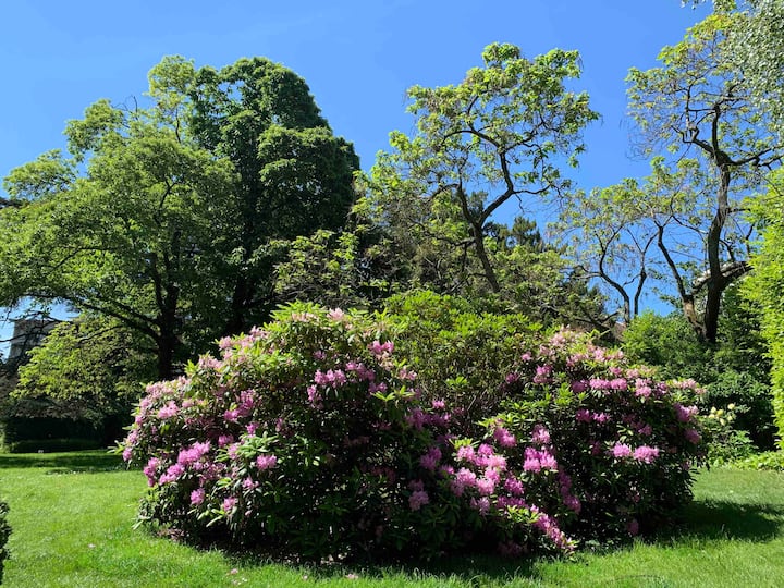 Unique 3 Pieces Near Lake Geneva - Ferney-Voltaire