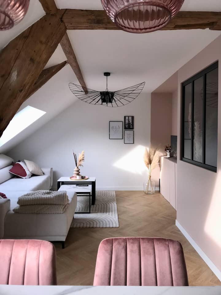 Cocon "Sous Les Toits"  Climatisé - Haut-Rhin