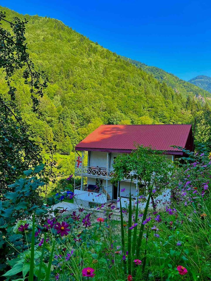 “Traditional Wooden Home In Village”
ხის სახლი - Artvin