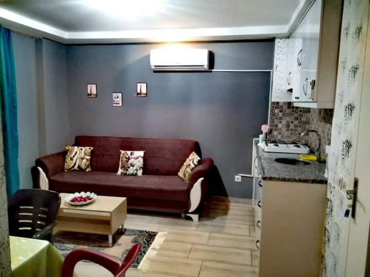 1+1 Apartment In Side - Side