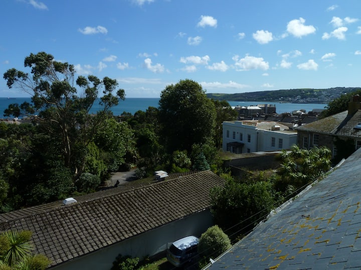 Spacious, Comfortable Townhouse. Full Of Books - Penzance