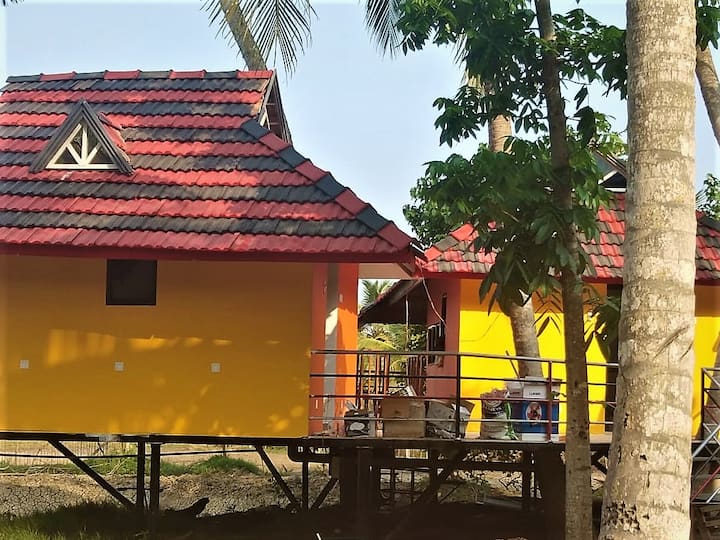 Pearl - Vaikom