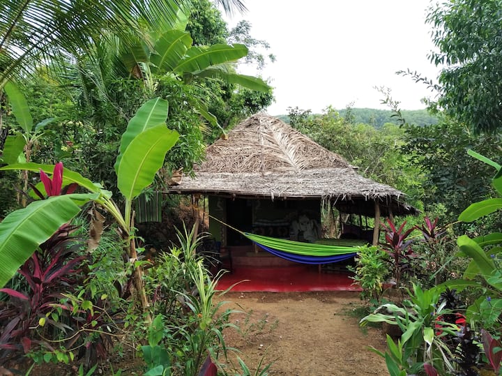 Paro House - Gokarna