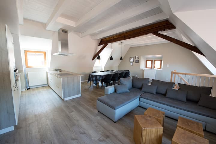 Gîte Claude, Duplex Moderne Avec Terrasse - Alsace