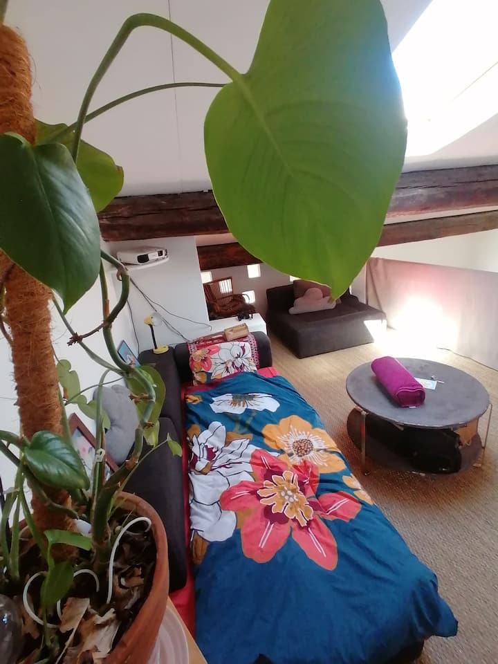 Logement Chaleureux Au Cœur De Ville Chez Nous - Montpellier