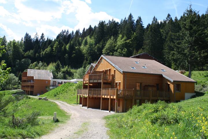 Logement Spacieux Tout Confort Col Des Feignes - Metzeral
