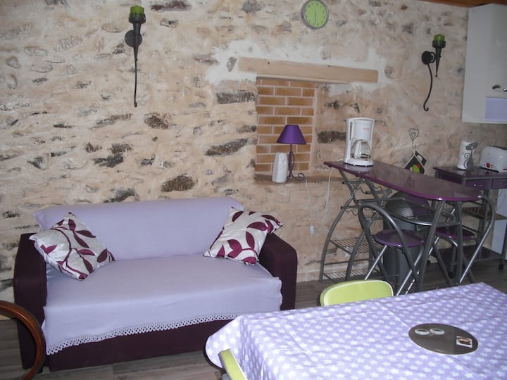 Appartement Ariègeois - Tarascon-sur-Ariège