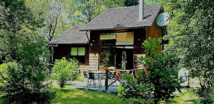 Hermosa Cabaña En Pucón. - Pucon