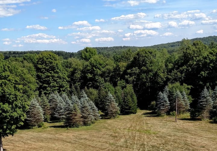Rural Private Site On 350 Acres, Sleeps 46+ - The Berkshires, MA