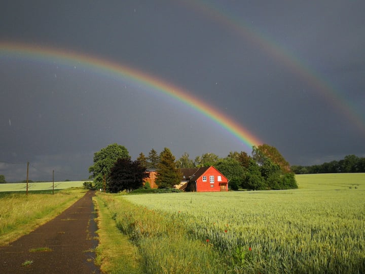 Feld Und Scheune Eventhof, Festscheune, Hochzeit - Parchim