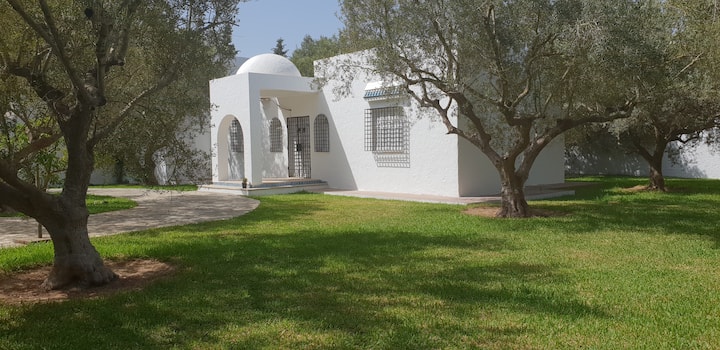 Villa Dar Hammamet - Hammamet