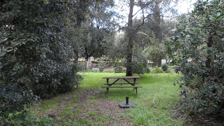 U Borgu, Rez De Jardin 3 Personnes - Calcatoggio