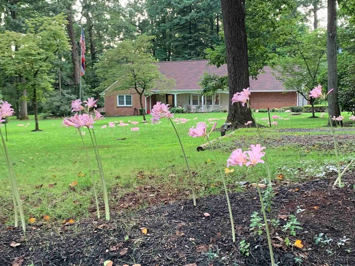 Cape Cod  Sleeps 16 Warrenton Va Historic Fauquier - Warrenton, VA