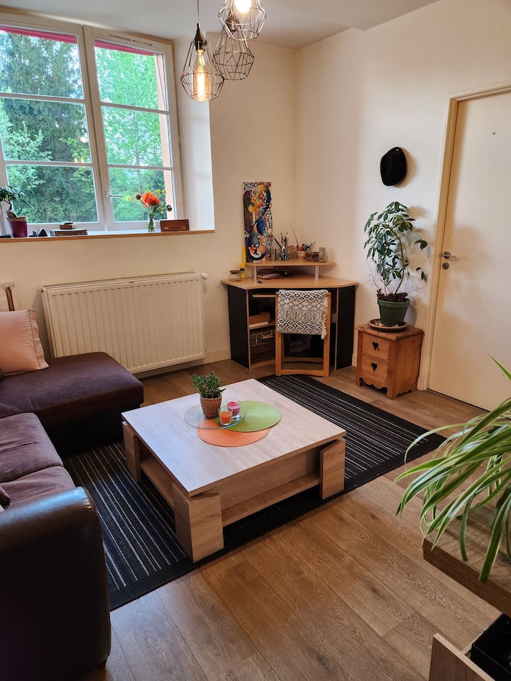 Appartement Sympa En Montagne - Passy