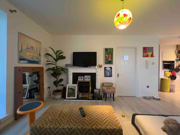 Dublin Holiday Rentals & Homes - County Dublin, Ireland | Airbnb