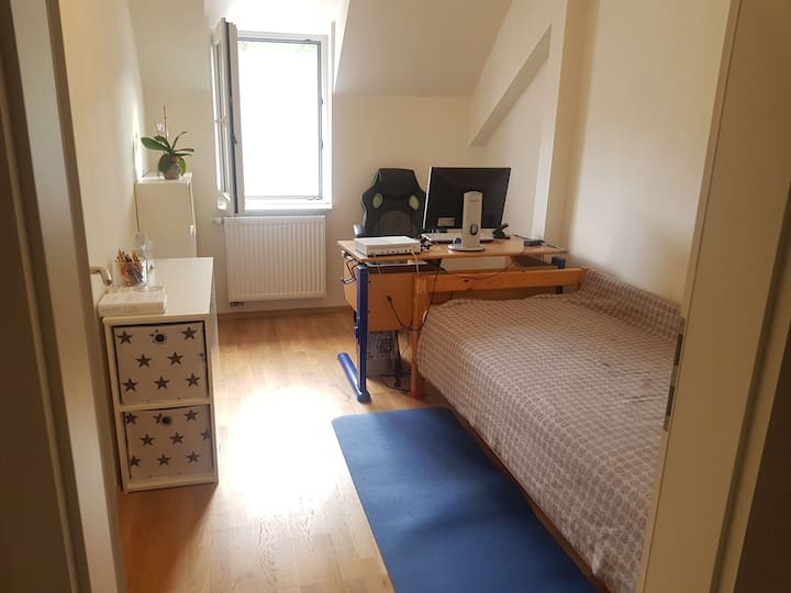 Nice Separ. Room Near Kronberg /Ffm F. Non Smokers - Fráncfort del Meno