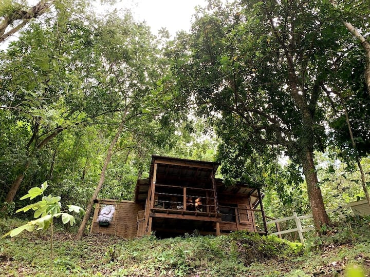 Lago de Matrullas Vacation Rentals & Homes - Orocovis, Puerto Rico | Airbnb