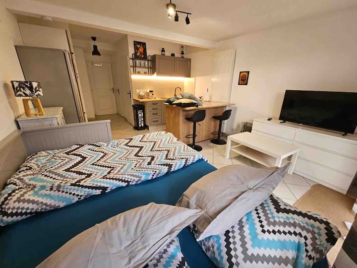 Charmant Studio Indépendant - Divonne-les-Bains