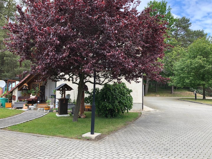 Naturnah Entspannen ( 68m² ) - Hoyerswerda